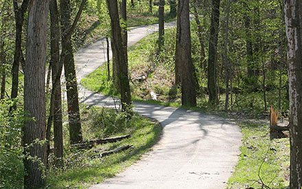 Visit Louisville Loop • Wilderness Louisville